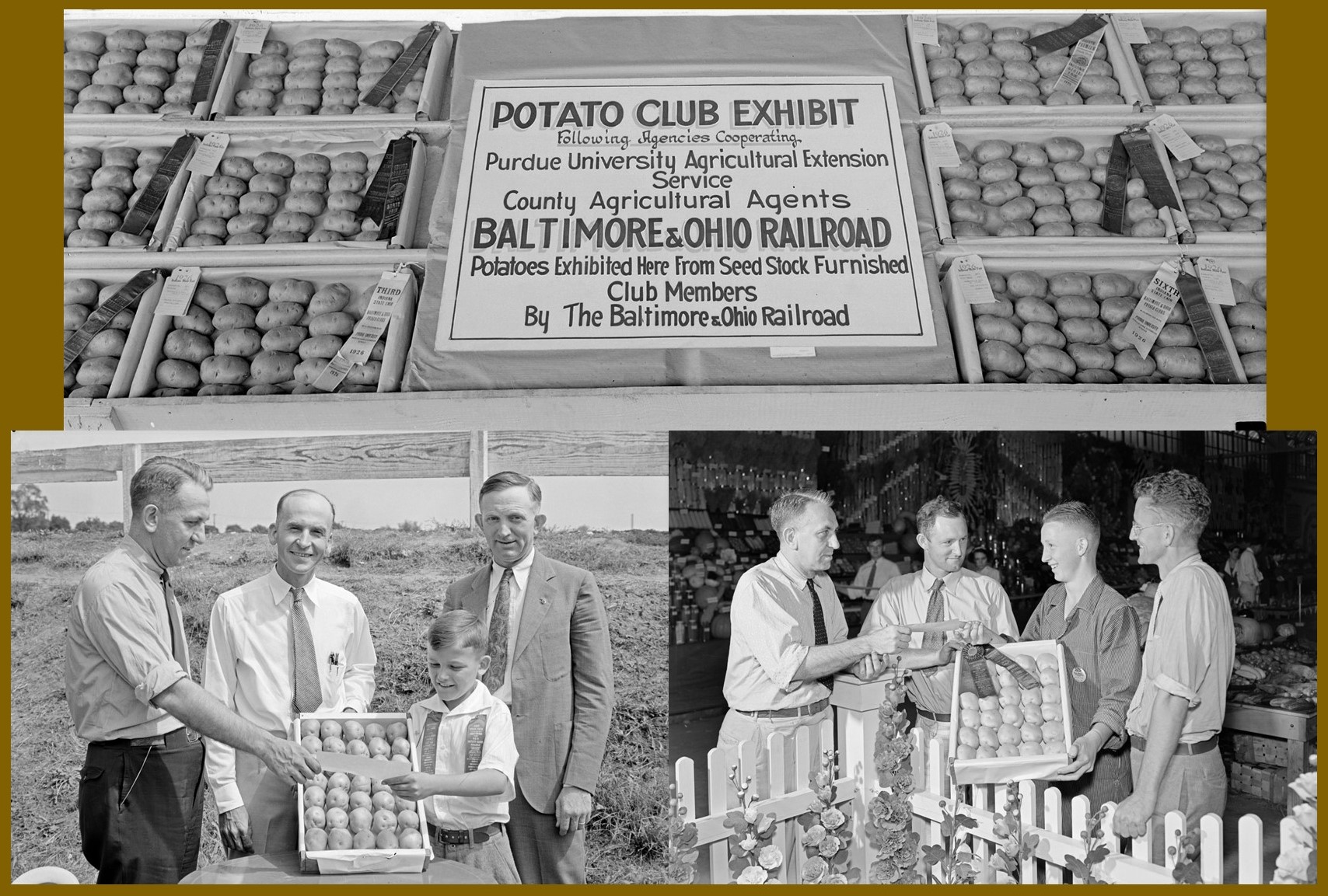 Mashed, Fried, Boiled, Etc. – National Potato Month