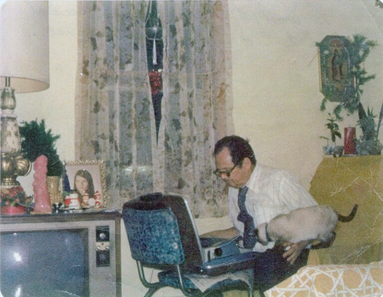 Happy ‘Happy Cat Month!’